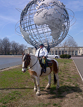 Apollo - Horse Stars Hall of Fame