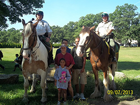 Apollo - Horse Stars Hall of Fame