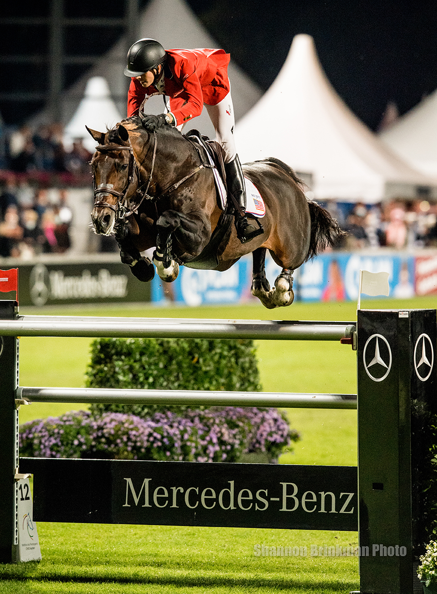 Balou du Reventon - Horse Stars Hall of Fame