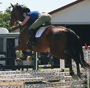 Big Deuce - Horse Stars Hall of Fame