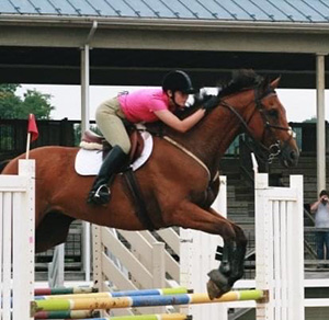 Big Deuce - Horse Stars Hall of Fame