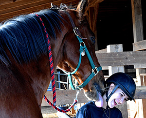 Big Deuce - Horse Stars Hall of Fame