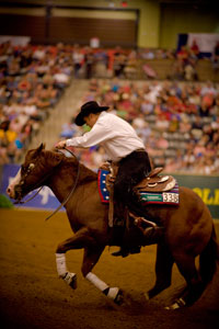 Gunners Special Nite - Horse Stars Hall of Fame