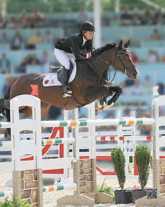 Coral Reef Via Volo - Horse Stars Hall of Fame