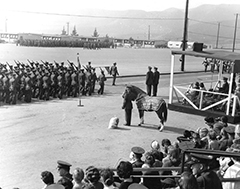 Staff Sergeant Reckless - Horse Stars Hall of Fame