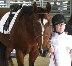 Lucky To Be A Larkin - Horse Stars Hall of Fame