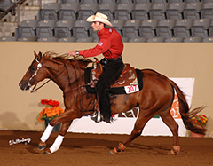 A Ruf Gal - Horse Stars Hall of Fame