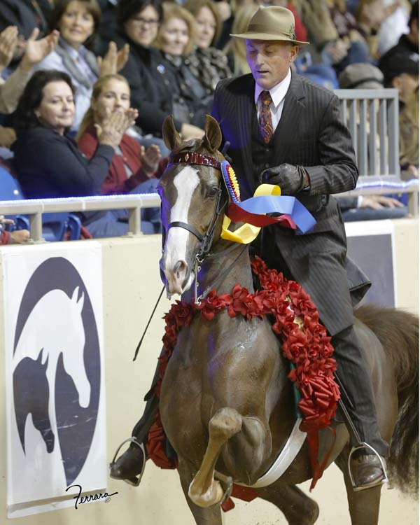 Nutcracker Sweet PF - Horse Stars Hall of Fame