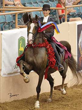 Nutcracker Sweet PF - Horse Stars Hall of Fame