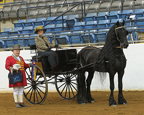 Dash Rip Rock - Horse Stars Hall of Fame