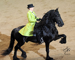 Dash Rip Rock - Horse Stars Hall of Fame