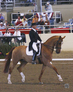 Floriano - Horse Stars Hall of Fame